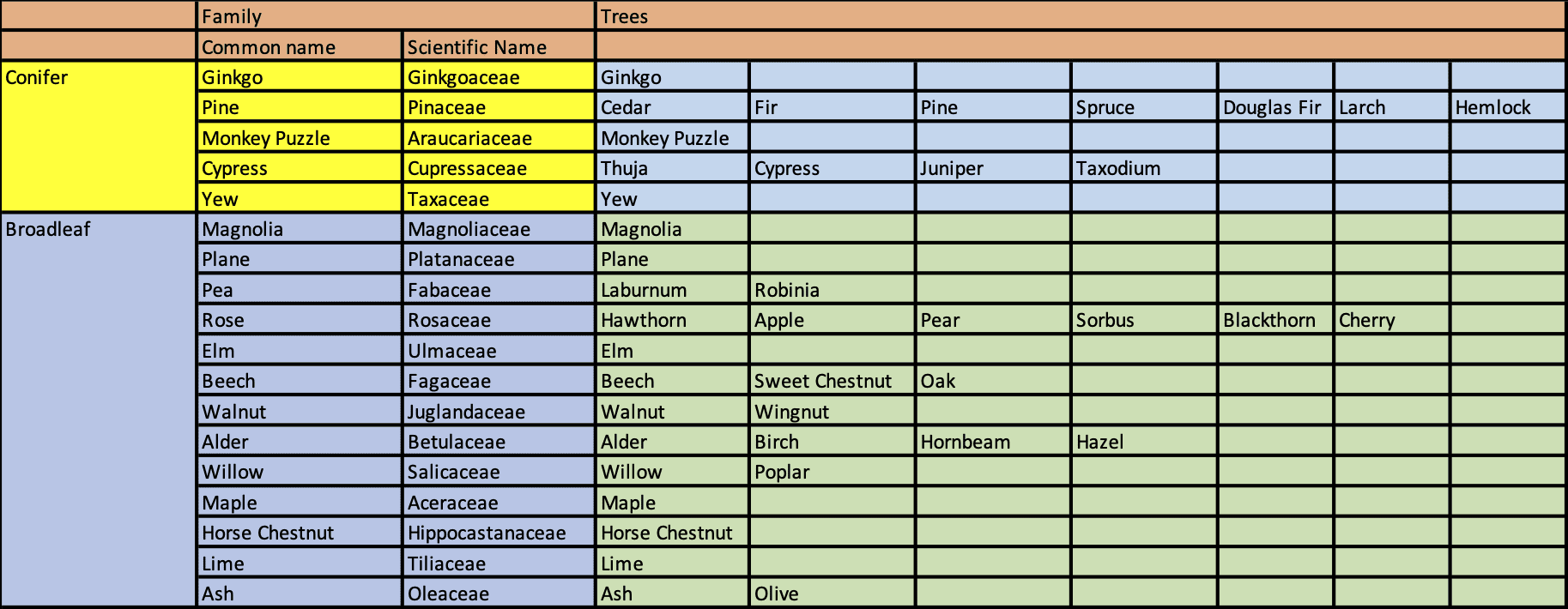 Tree family order - Tree Guide UK