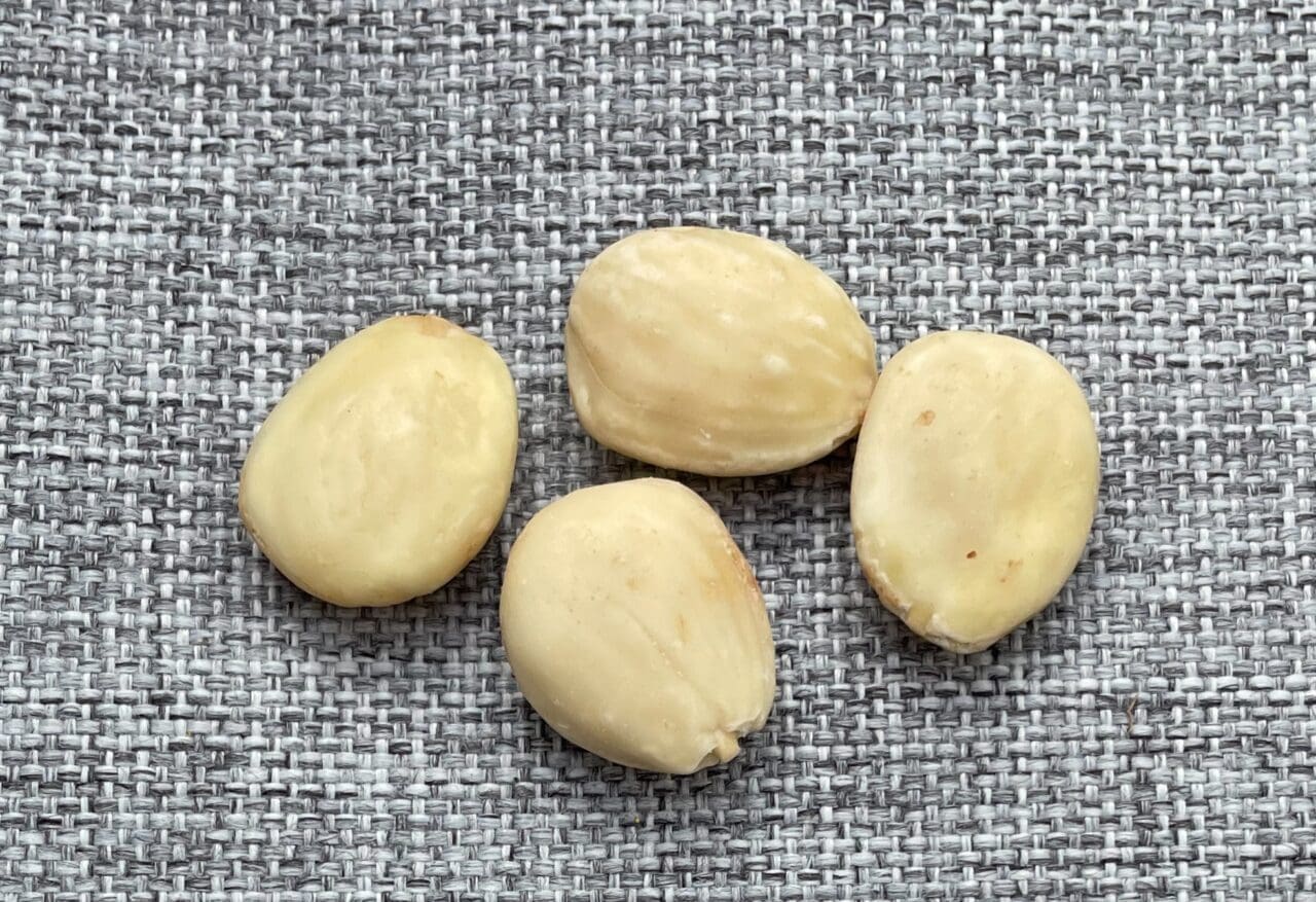 Almond - Almond tree identification