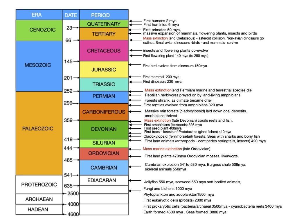 evo events1 - Tree Guide UK
